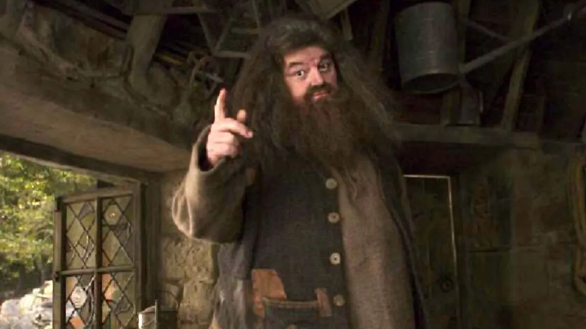 First Look at Hagrid Actor in New 'Harry Potter' Has All Fans Saying ...