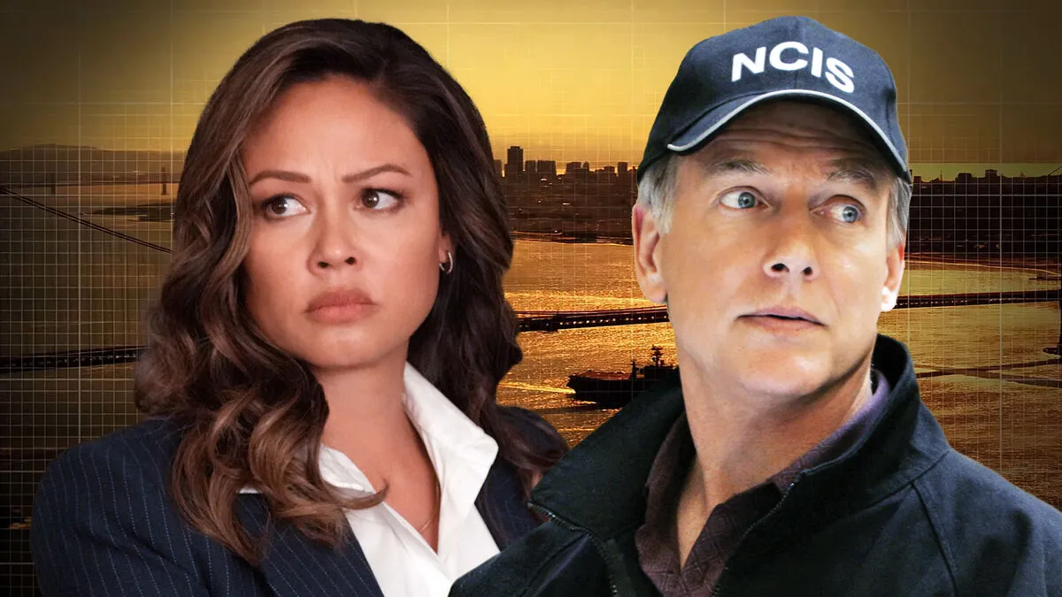 Every NCIS Show Ever, Ranked From Worst to Best by Fans on Rotten ...