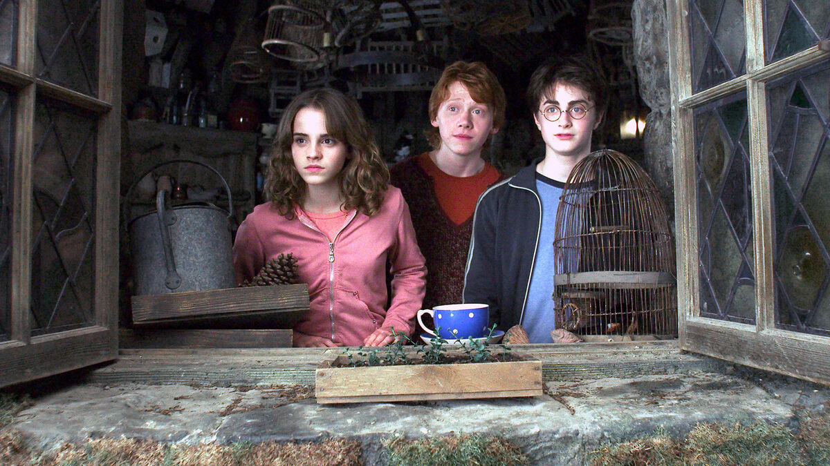 There's One Movie Every Harry Potter Fan Must Watch – It's a 97%-Rated ...