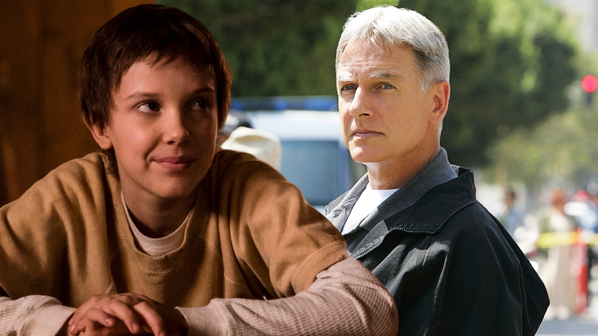 Most Memorable Celebrity Cameos in NCIS, Ranked - Startefacts.com