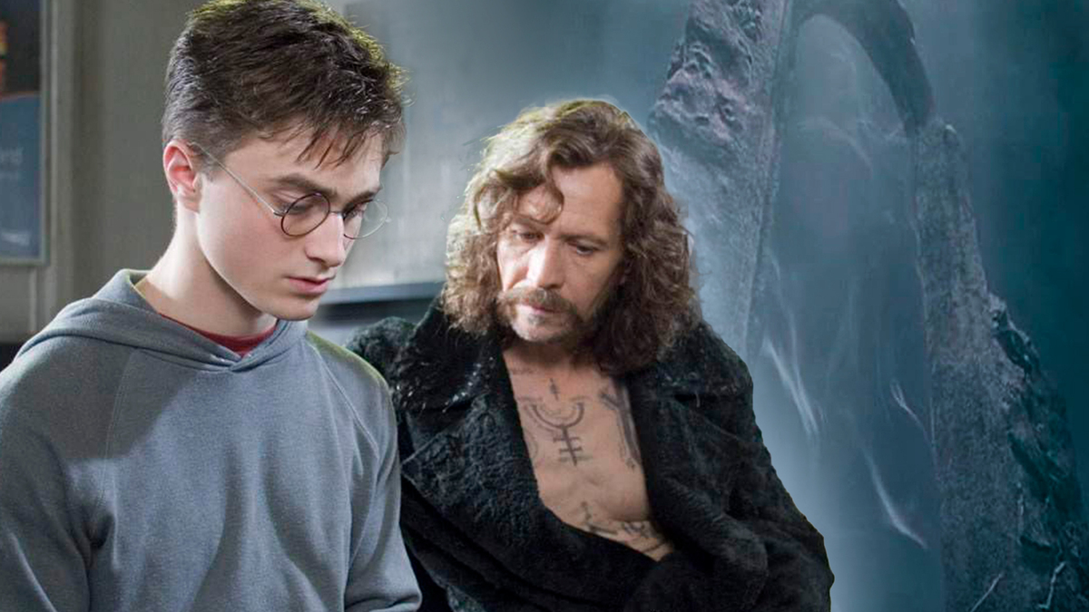 Sirius Black’s Cause of Death? Sharing One Brain Cell with Harry ...