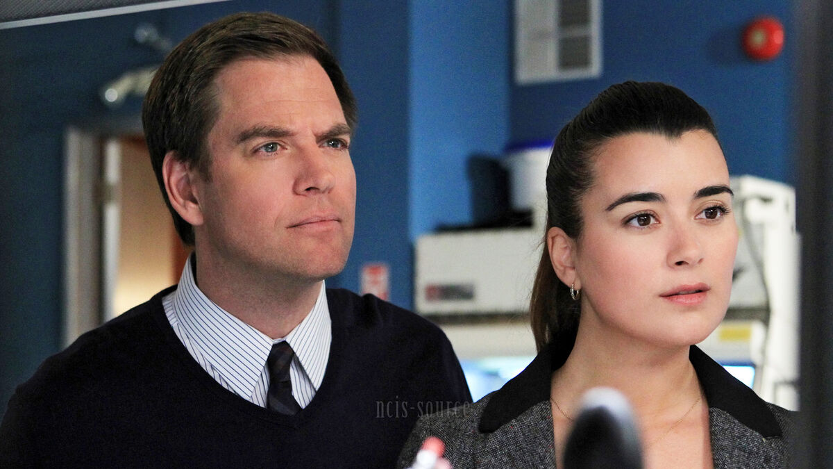 NCIS Fans Already Have a Perfect Cast for Tali in Tony & Ziva Spinoff