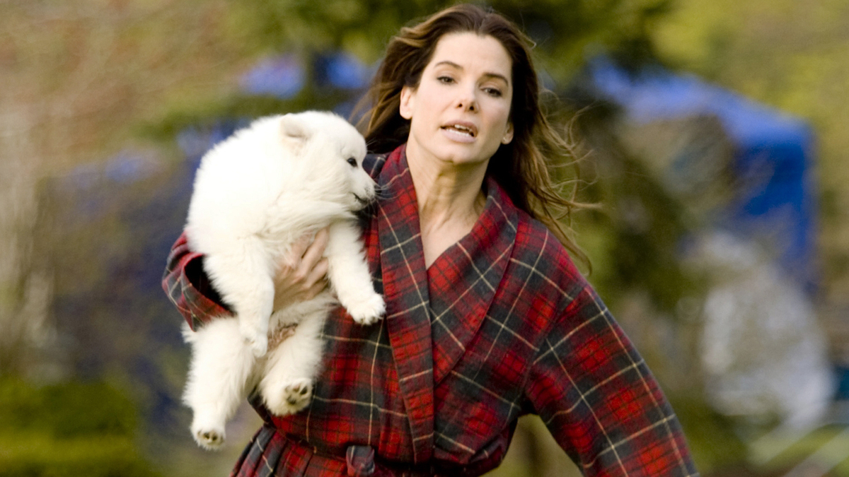 Sandra Bullock Agreed To Get Naked In Proposal For The Most Bizarre