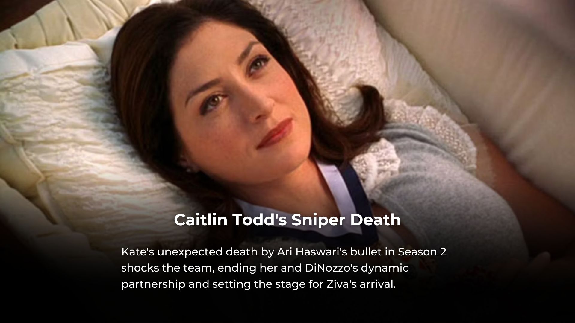 10 Most Controversial NCIS Exits: Which Sendoffs Almost Ruined the Show ...