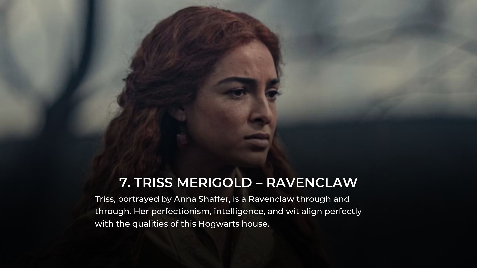 10 of The Witcher Characters, Sorted Into Hogwarts Houses - Startefacts.com