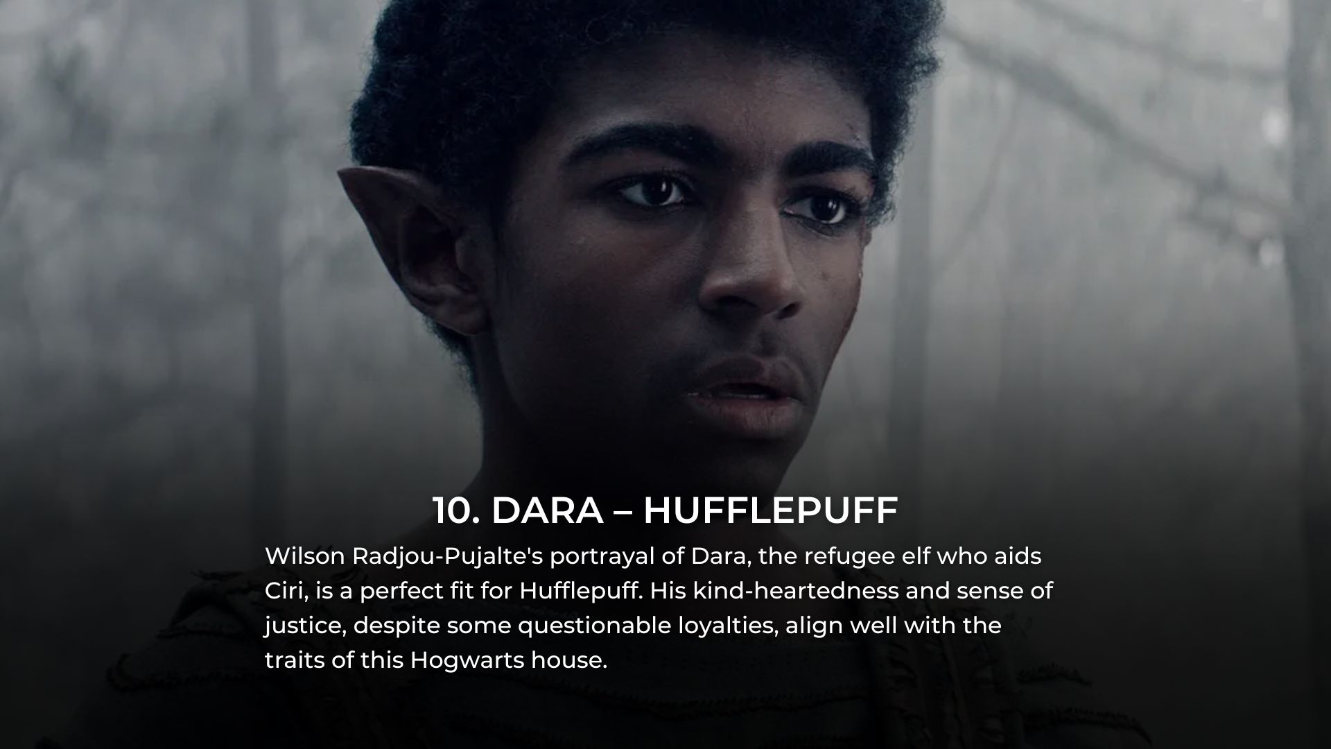 10 of The Witcher Characters, Sorted Into Hogwarts Houses - Startefacts.com