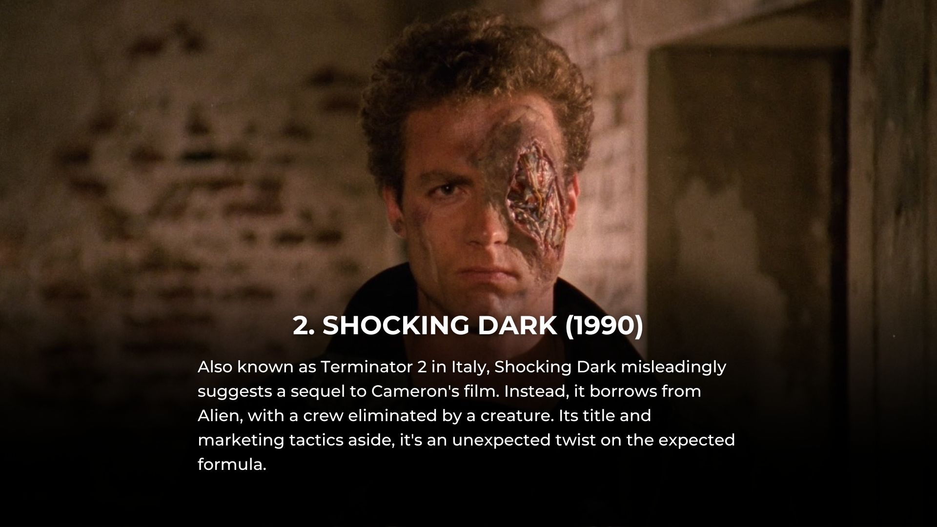 10 Surprisingly Decent Terminator Rip-Offs Everyone Forgot About ...