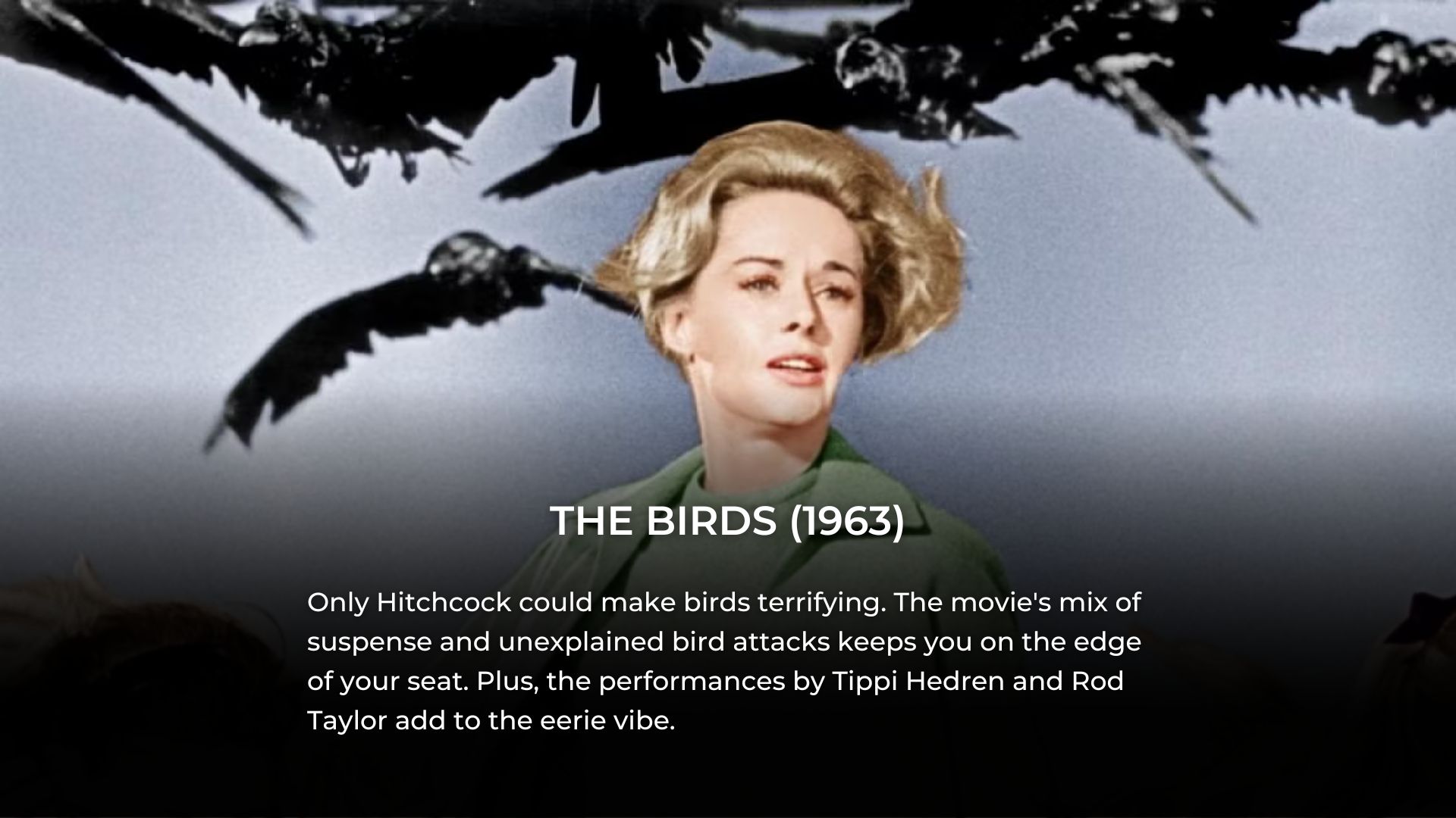 You Can't Call Yourself a Horror Fan If You Haven't Seen These 20 Films ...