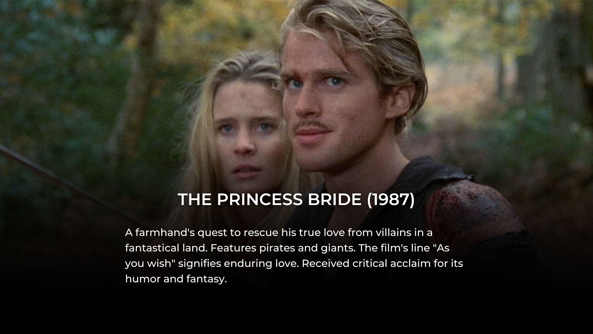 20 Timeless Romance Movies That Still Hold Up in 2024 - Startefacts.com