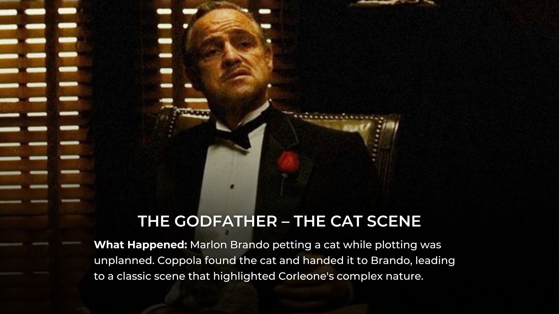 12 Iconic Movie Scenes That Were Completely Unscripted - Startefacts.com