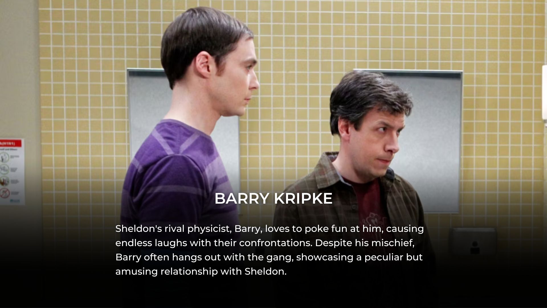 They're Not Sheldon, But Just as Great: TBBT's 10 Best Side Characters ...
