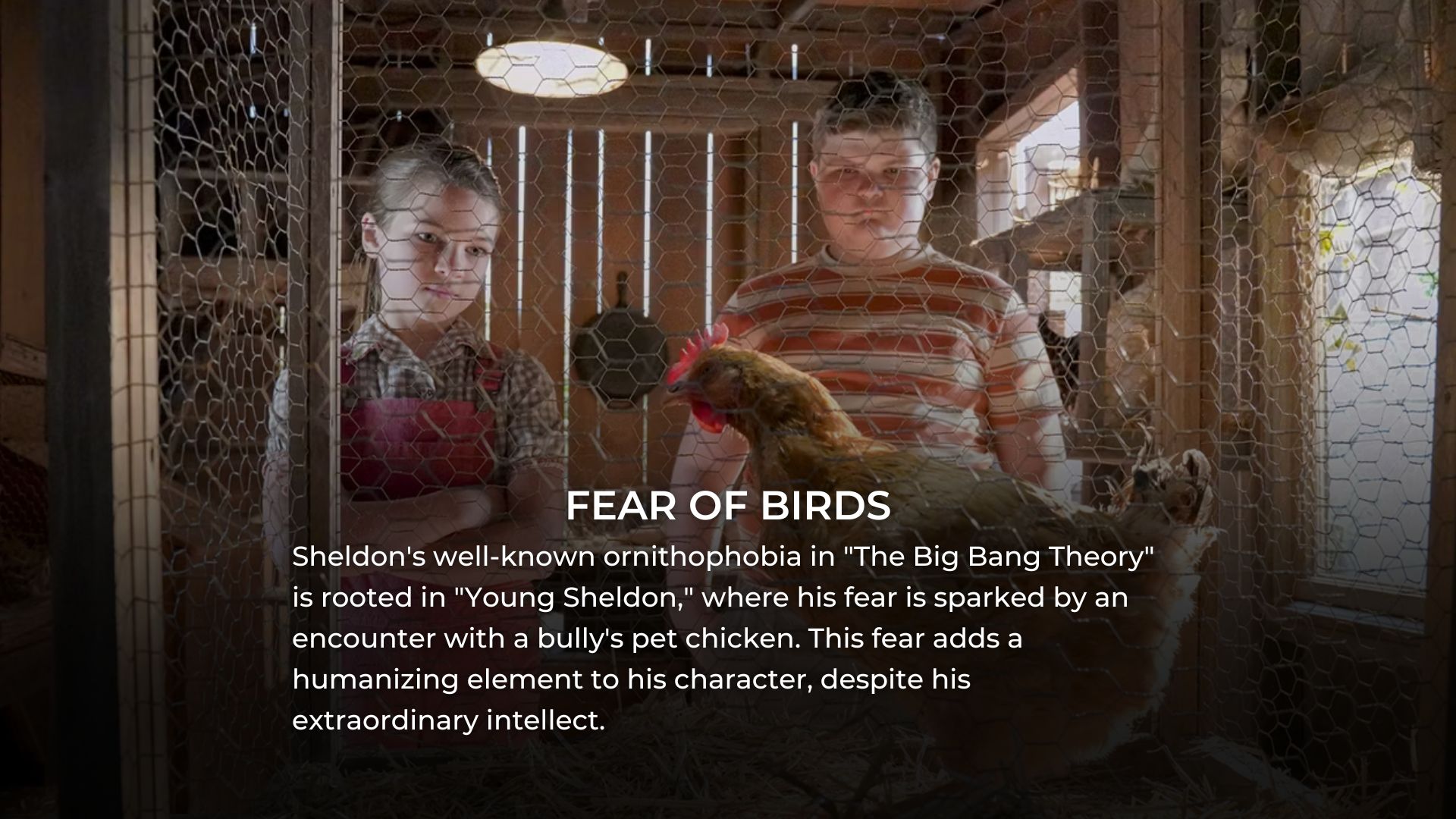 10 Clever TBBT References in Young Sheldon, Ranked - Startefacts.com
