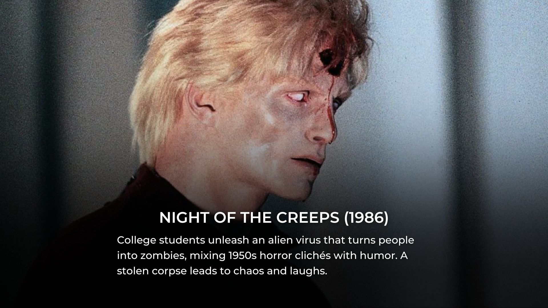 20 Silly Horror Films Perfect for a Movie Night with Friends ...