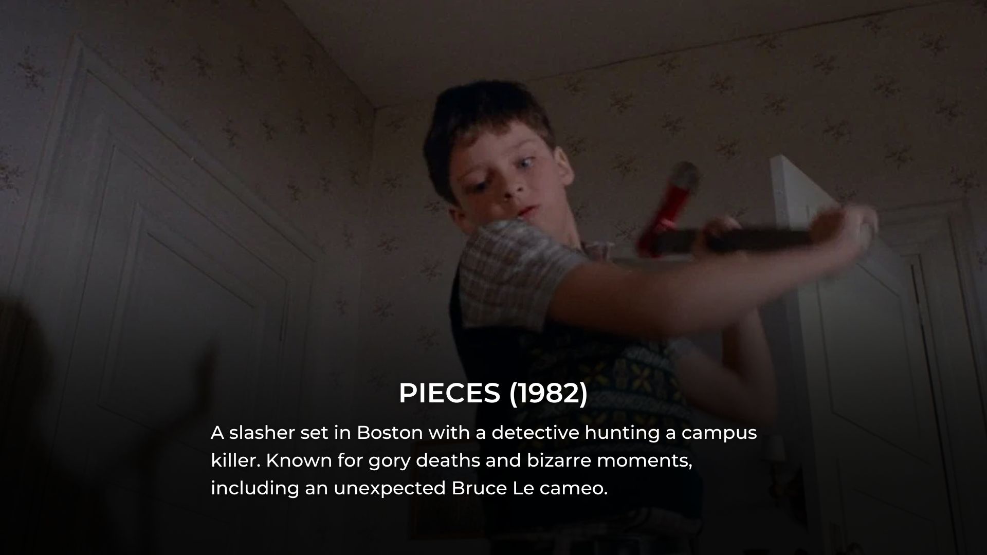 20 Silly Horror Films Perfect for a Movie Night with Friends ...