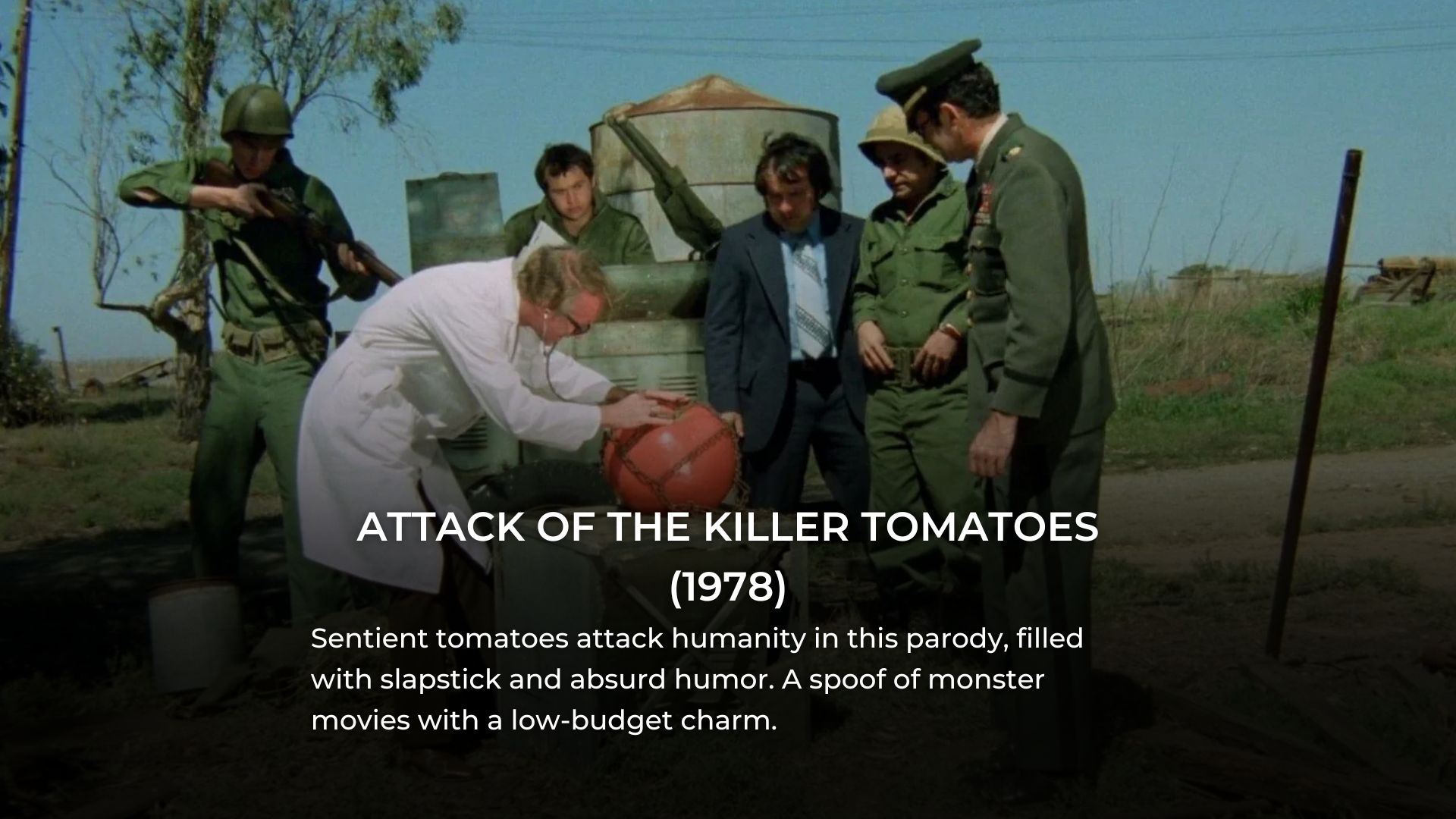 20 Silly Horror Films Perfect for a Movie Night with Friends ...