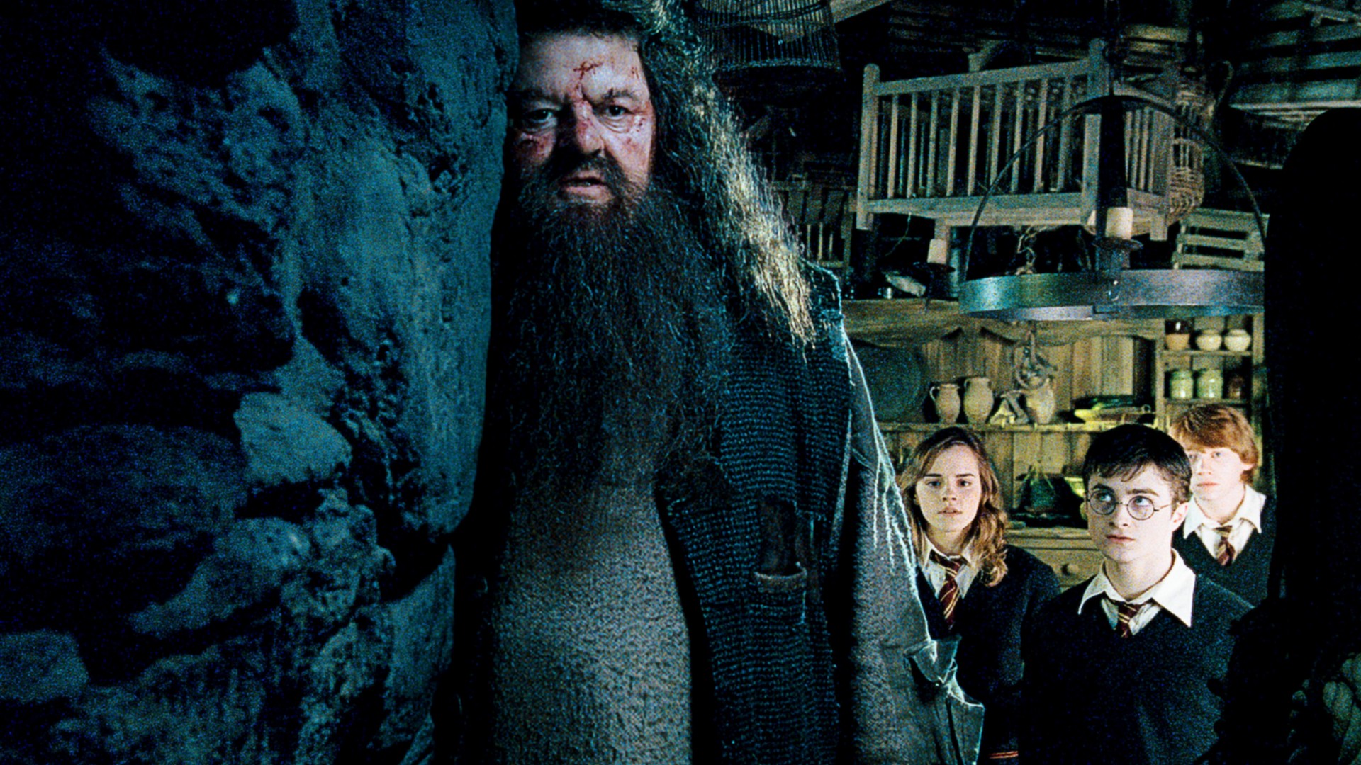 We Love Hagrid, but Let's Be Real: He Was a Hot Mess in Harry Potter ...
