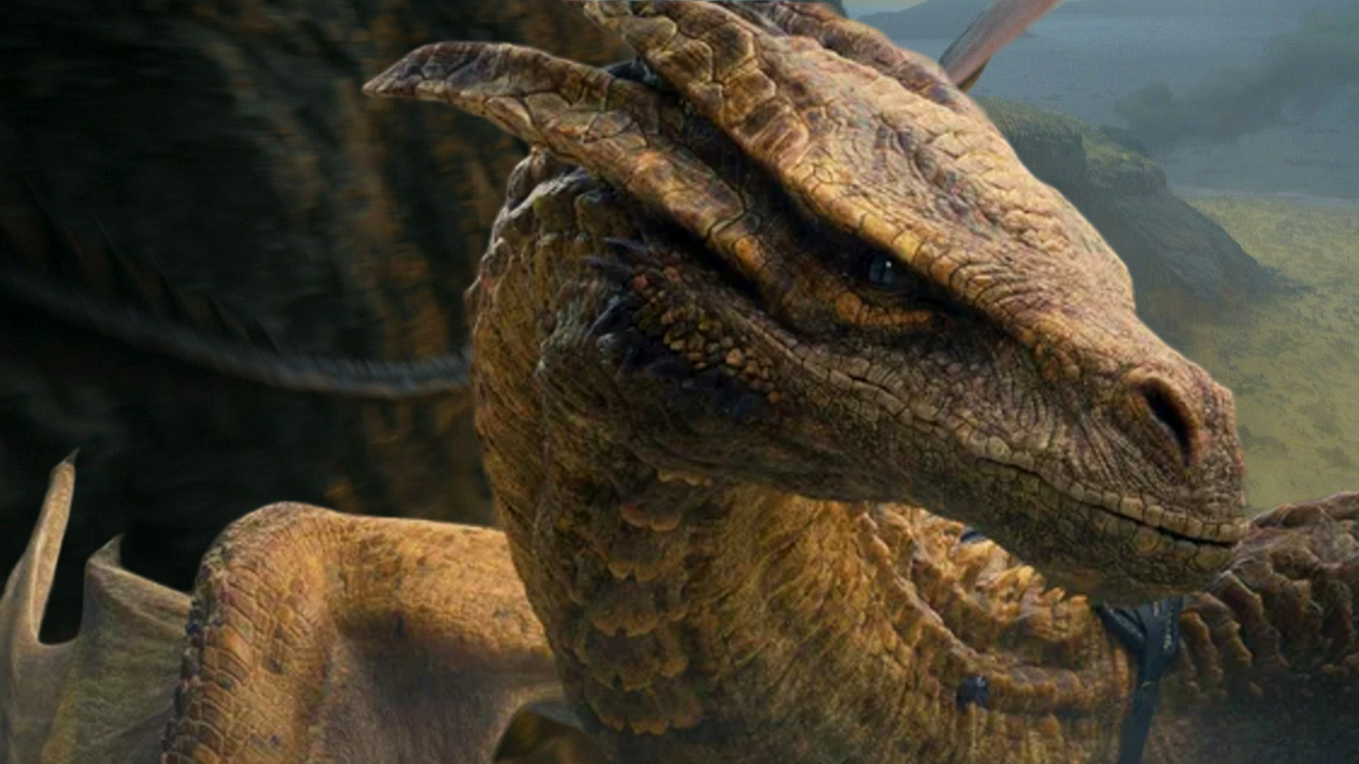 As HotD Confirms 5 New Dragons, Fans Can't Wait For The Deadliest One