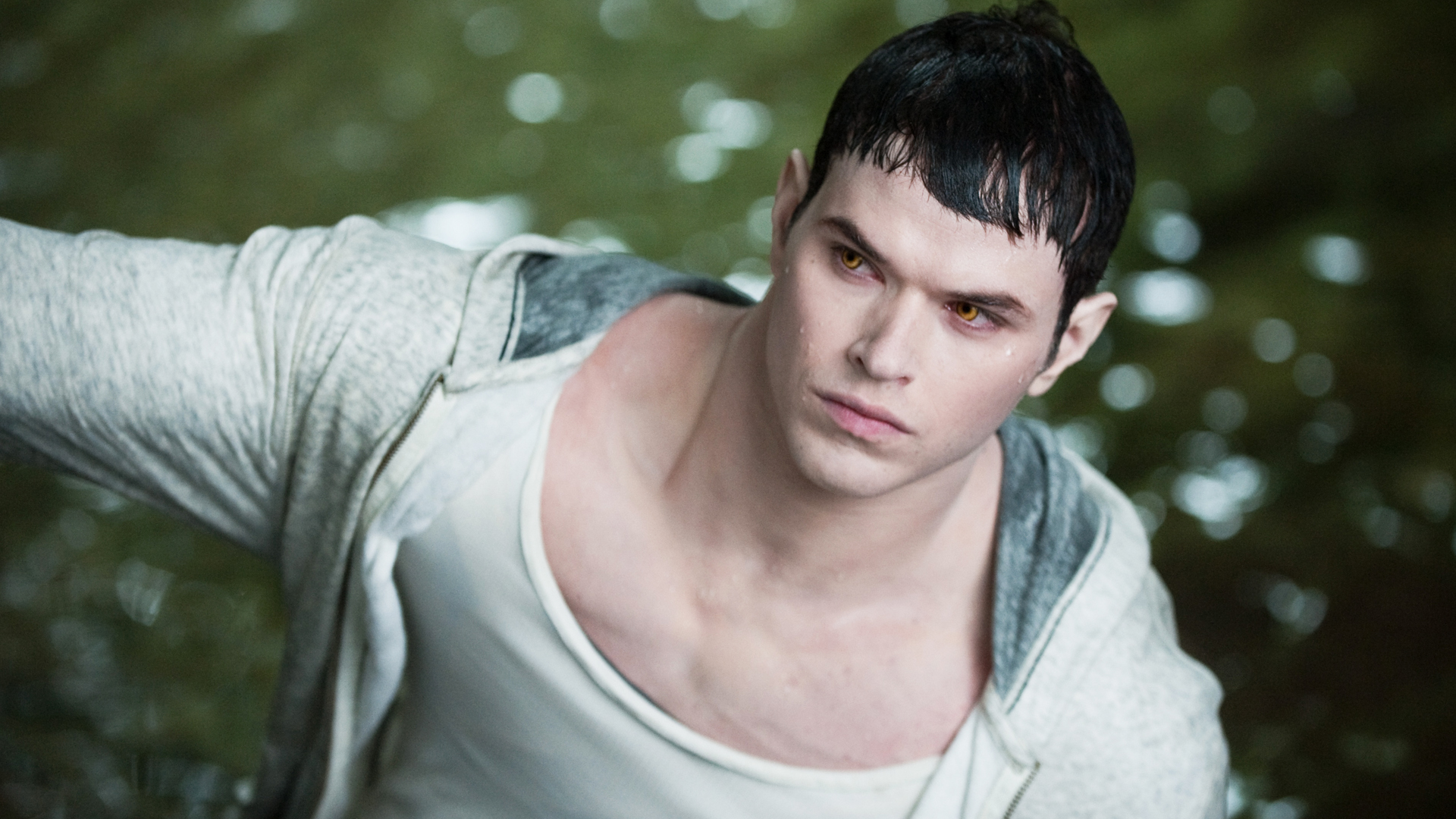 The Only Cullen Backstory Twilight Movies Ignored Was Downright The ...