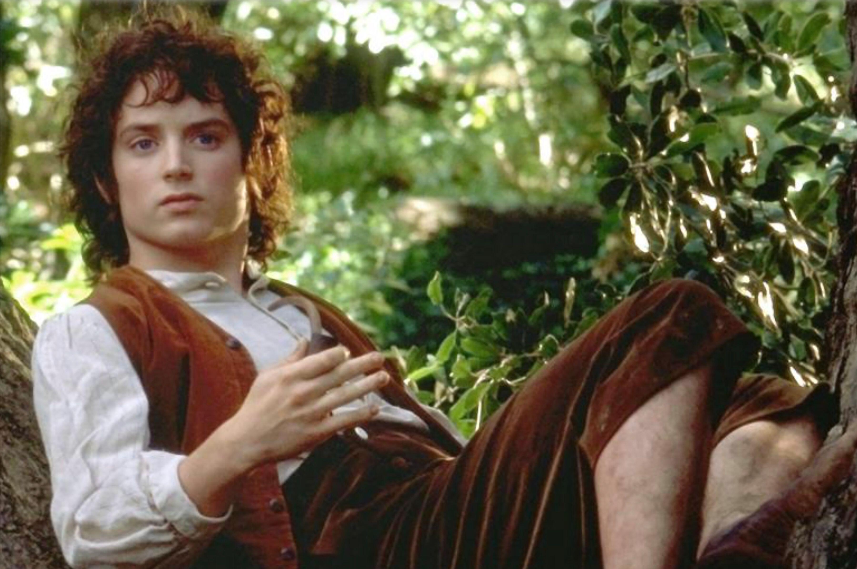Peter Jackson's LotR Trilogy Almost Became Most Expensive Failure in ...
