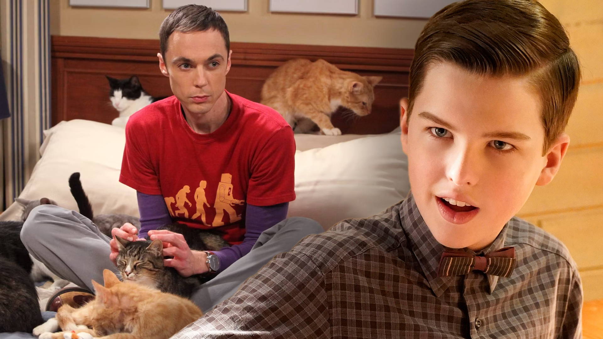 Another Young Sheldon Major Plot Hole Is Easily Explained by TBBT Fans ...