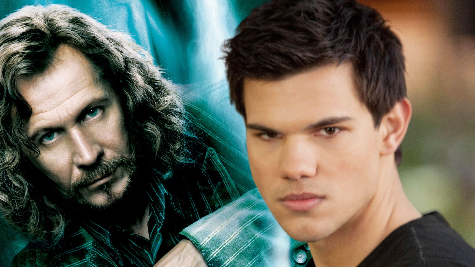 Fans Cooked Up the Harry Potter/Twilight Crossover We Deserve