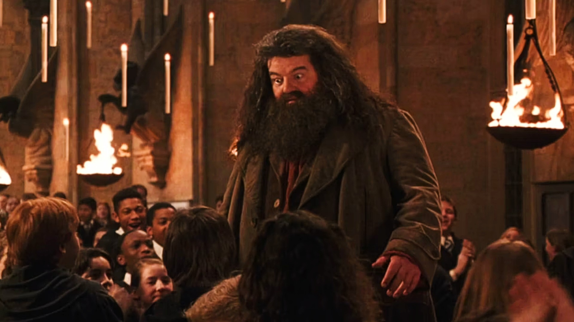 Harry Potter and Chamber of Secrets Ending is Not as Sweet as You Think ...