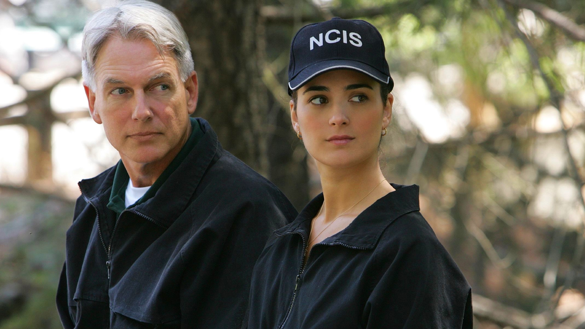 NCIS Star Stunned Fans With Unbelievable Hidden Talent – Viral Things