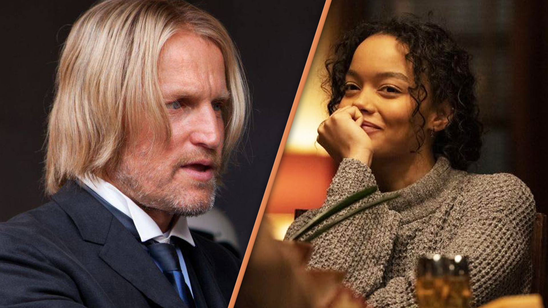 Sunrise on the Reaping Cast Revealed: Hunger Games Fans React to Haymitch and Lenore Dove Picks