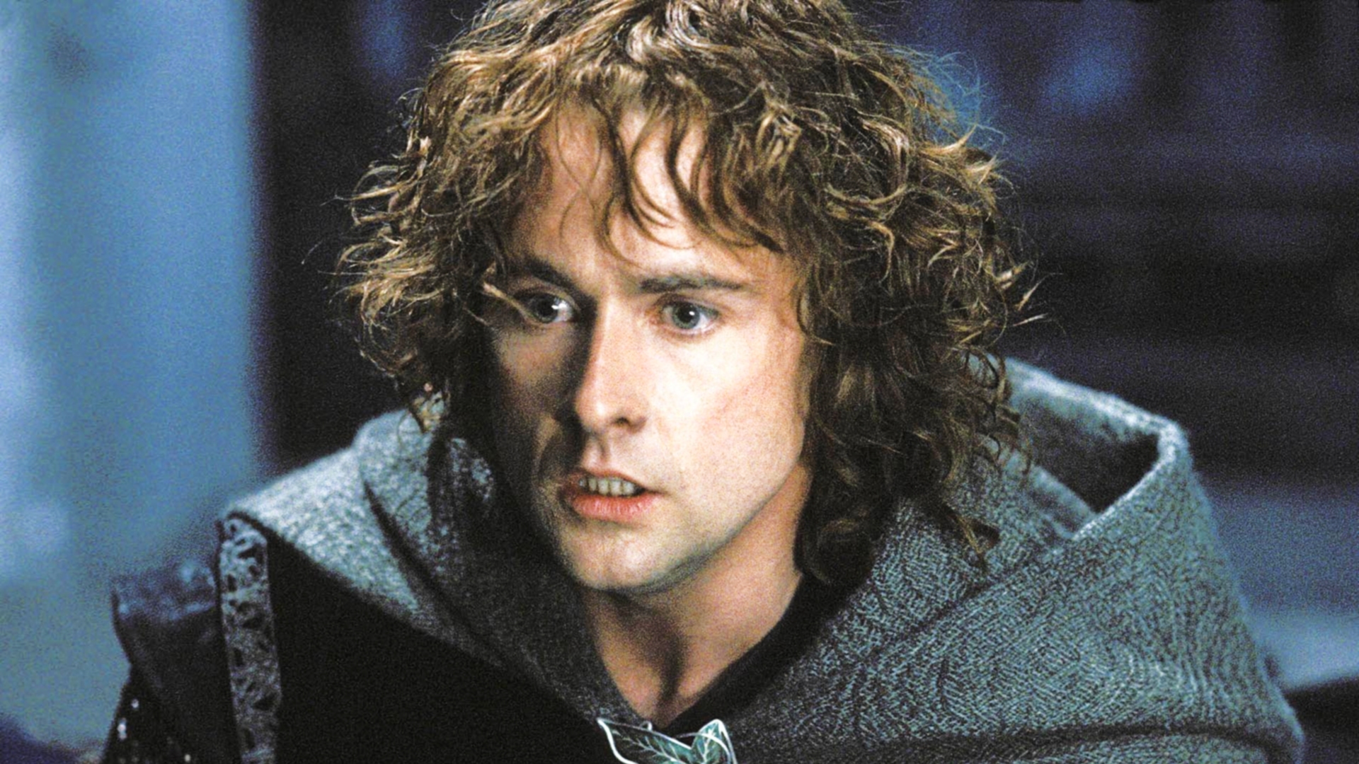 LotR Meme Perfectly Explains Why Pippin is The Most Annoying Character ...