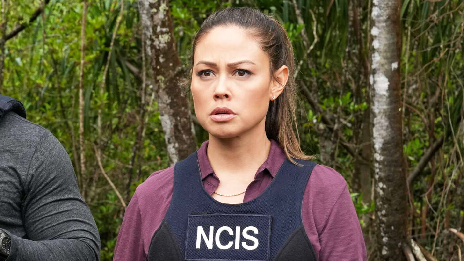 NCIS: Hawai’i Star Teams Up With Fans to Save the Show Amid Painful Cancelation