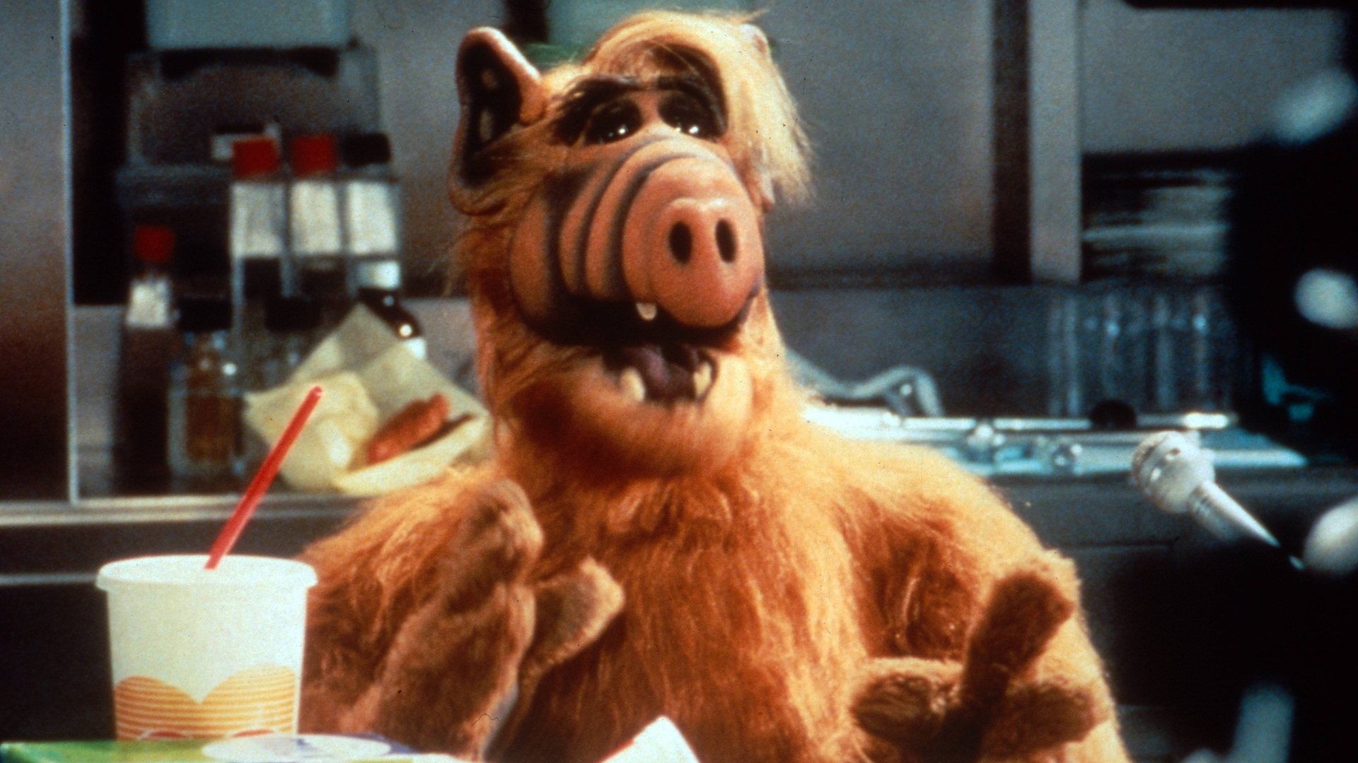 Famous Actor You Never Knew: Who Played ALF in the ‘80s Show ...
