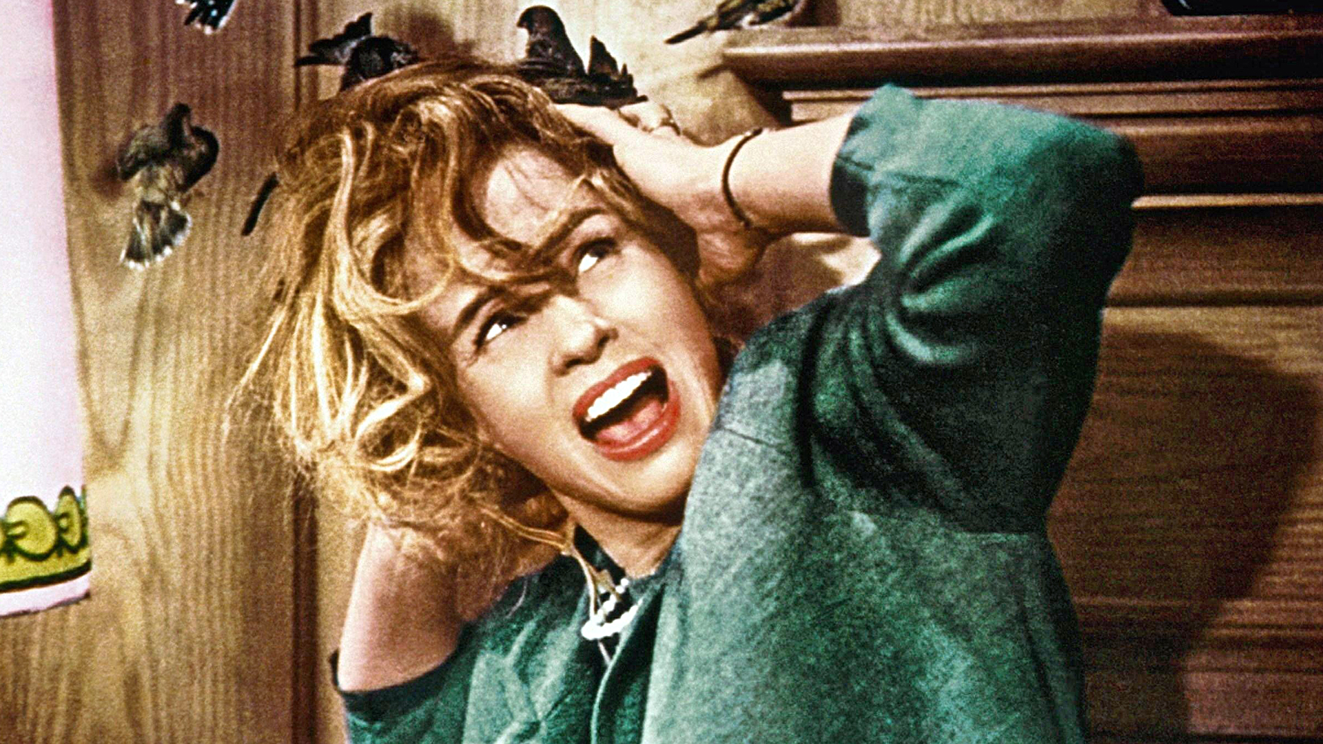 Alfred Hitchcock’s The Birds Turned Into Real-Life Nightmare For Its ...