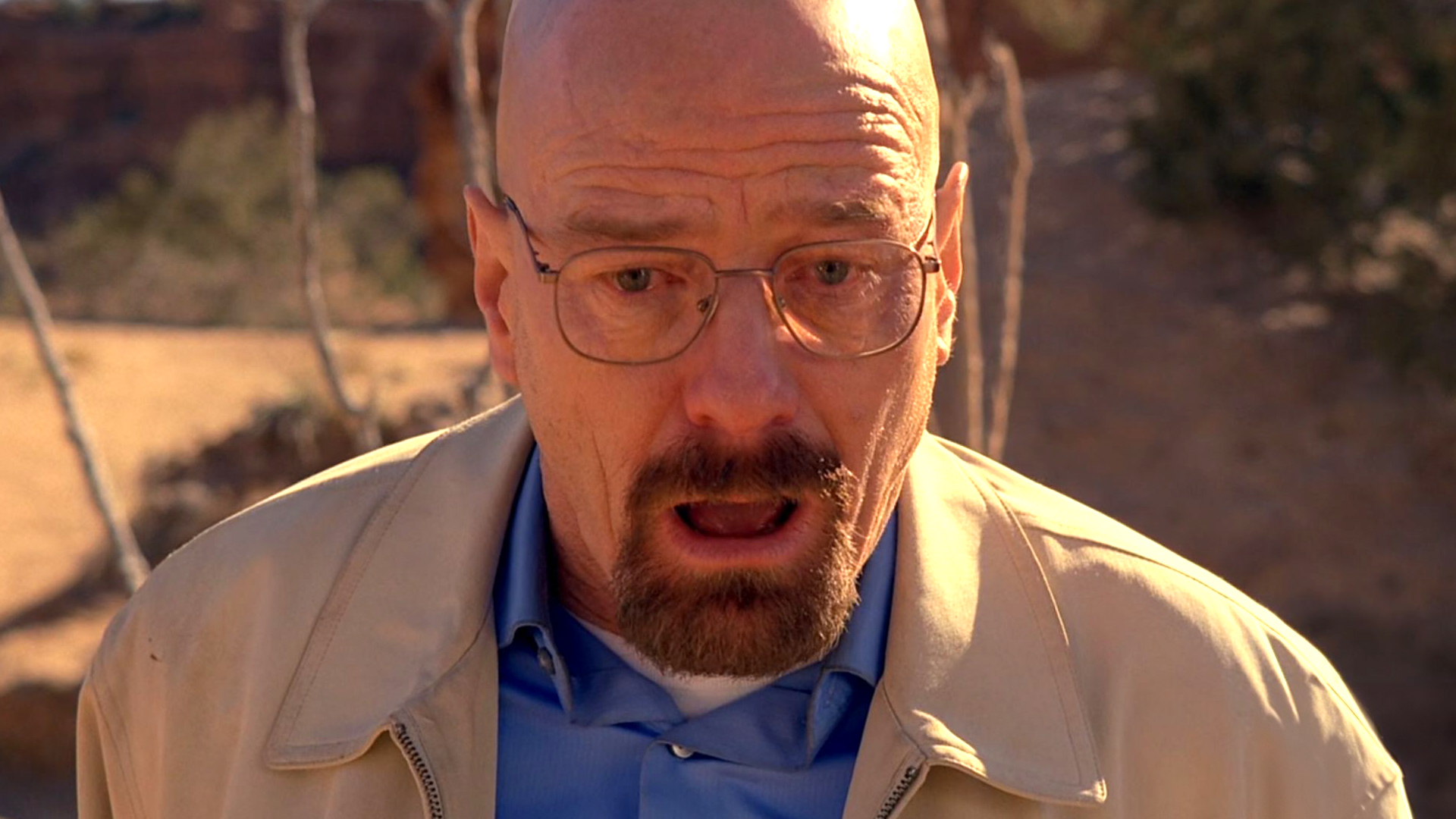 Breaking Bad's 'Most Harrowing' Scene Made Bryan Cranston Live Out His ...
