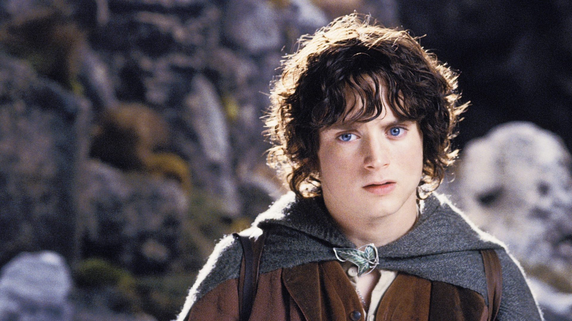 Fellowship of the Ring Robbed LotR Fans of a Crucial Frodo Scene