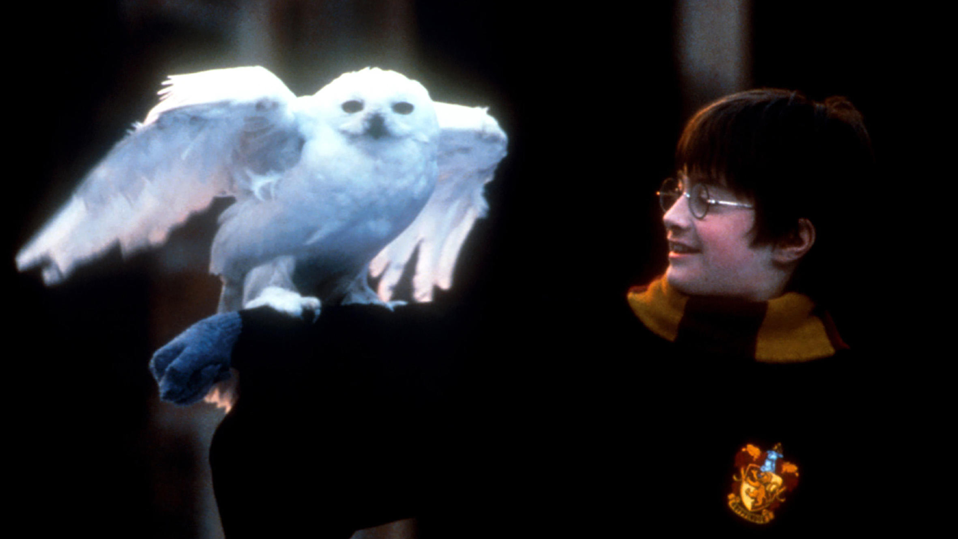 Insane Harry Potter Theory Proves Hedwig Was Snape's Animagus